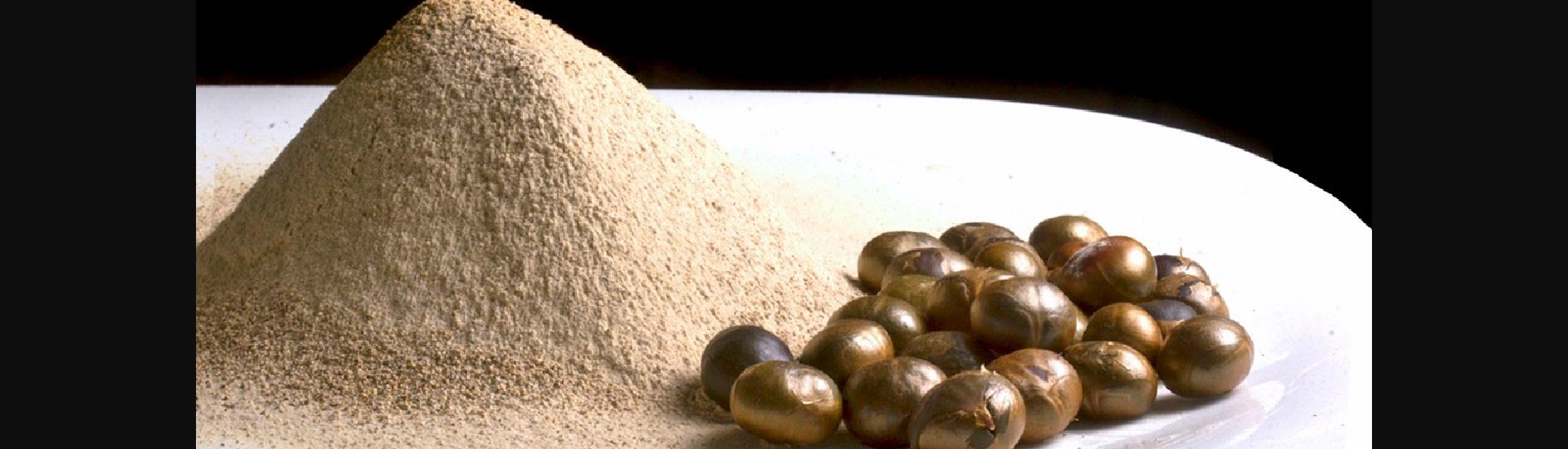 20 Propiedades Medicinales de la semilla de ramón - Mi remedio casero